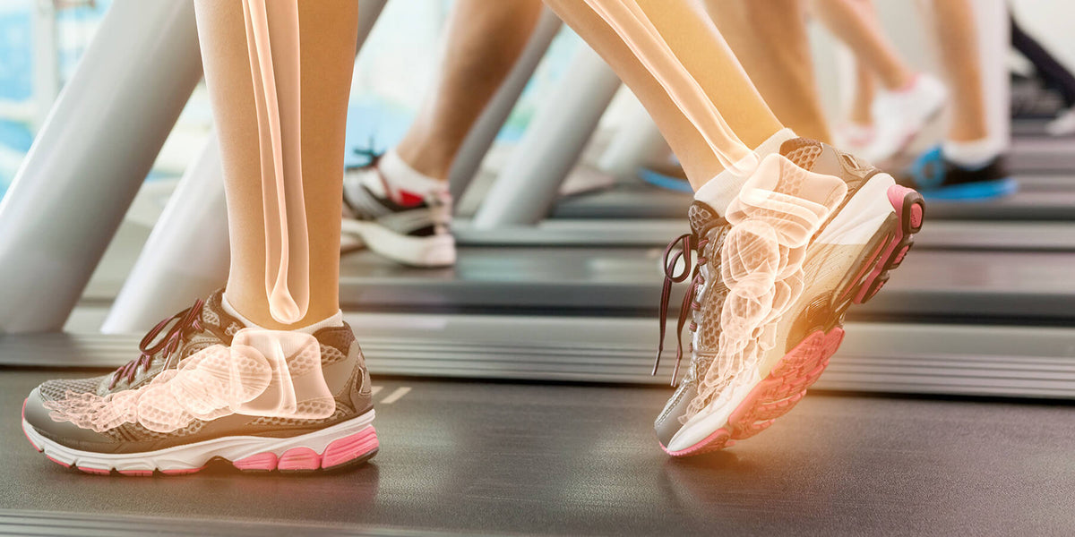 Luja luusto läpi elämän